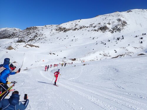 (2ページ目) 「スペインでSKIMO世界選手権大会が開催！」2026年ミラノ・コルティナオリンピック【イタリア】で行われる新競技！ その注目 ...