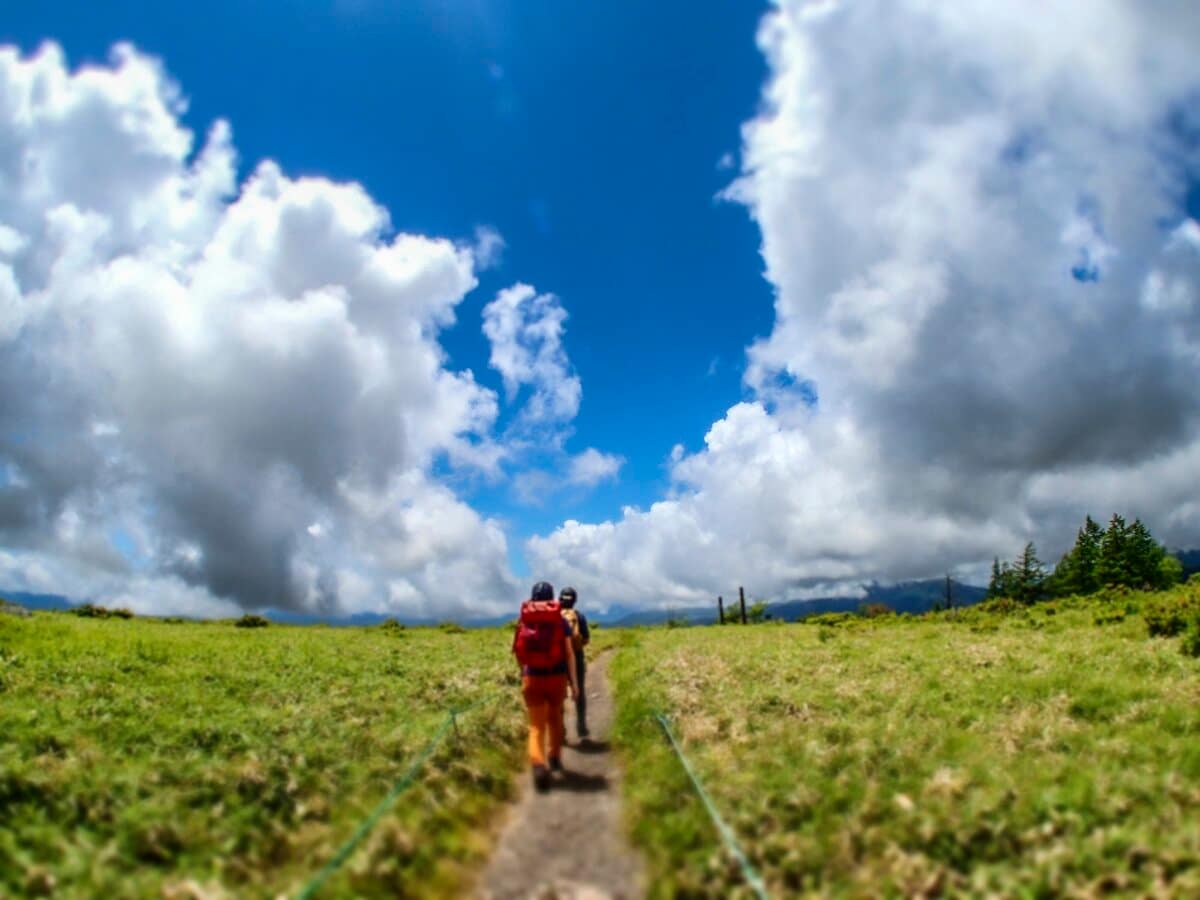 初夏の風と花が呼ぶ魅惑の稜線にニッコウキスゲを探して！ おすすめのトレイル3選 「霧ヶ峰高原・白木峰・野反湖」 2024年｜登山｜レポート｜BRAVO MOUNTAIN