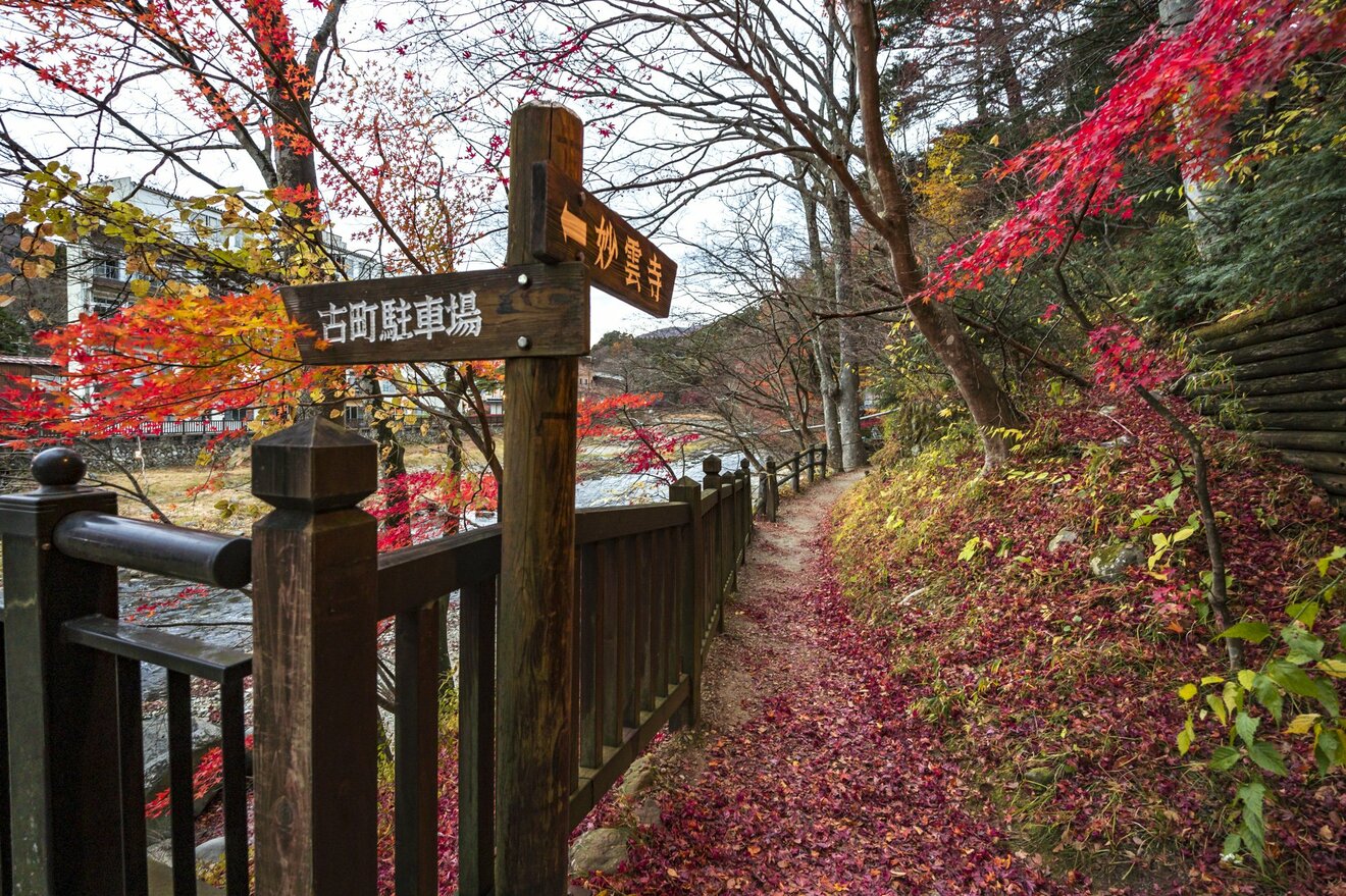 画像・写真：【紅葉流れる渓谷美】「箒川キャッチ＆リリースエリア」で紅に染まるニジマスを狙う！ 2022年《栃木県》【合計13枚】｜アクティビティ｜レポート｜BRAVO MOUNTAIN