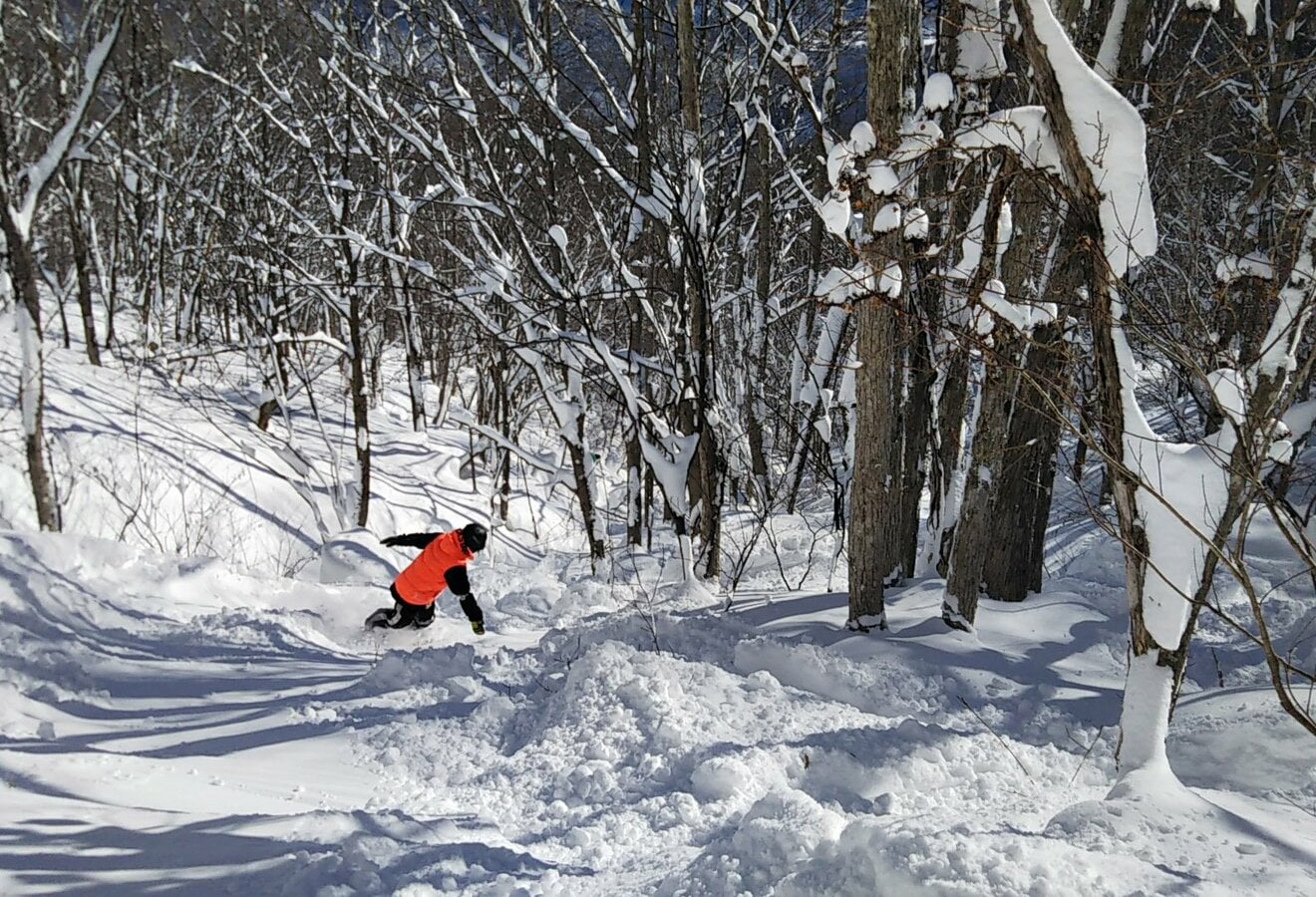 「つがいけマウンテンリゾート」で味わうダイナミックなツリーラン「TSUGA POW DBD」 帰りは千国街道の「道の駅 おたり」で食事や温泉、お土産も！｜スキー＆スノーボード｜レポート ...