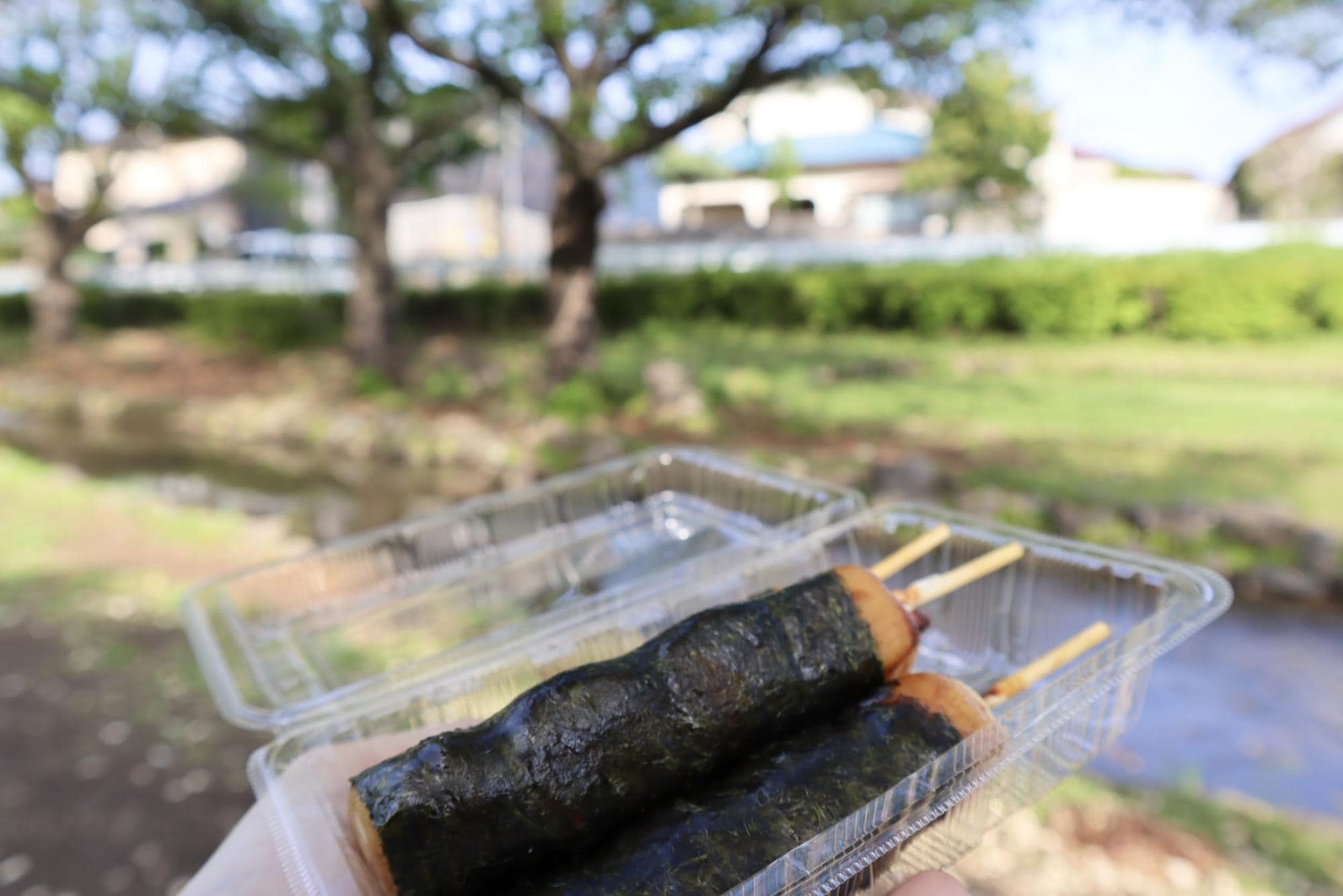 (2ページ目) 【東京＆埼玉】団子好きライターが実食レポート！ ピクニックで食べたい「公園近くにある団子の名店」4選｜トラベル｜ニュース｜BRAVO MOUNTAIN