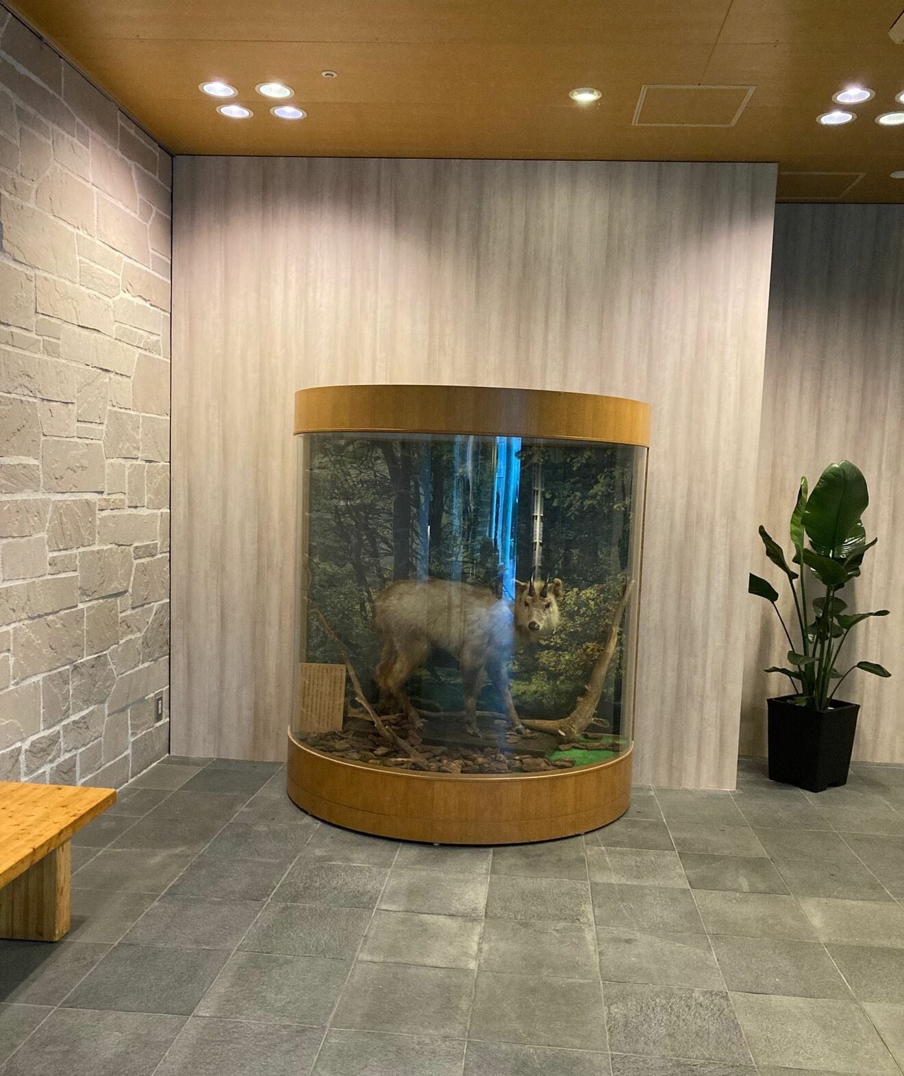 画像・写真：ここにも登場 “天空の湯” 目の前に広がる那須連山の大パノラマと “至福のバイキング” を味わいに旅する価値ありの 大江戸温泉物語が手掛ける “森の隠れ家” 温泉リゾート ...