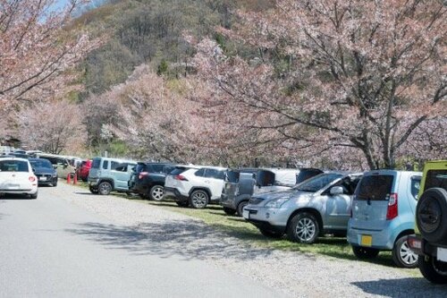 (2ページ目) 【こんな贅沢な山は他にない！】お花見ハイキングの名所「光城山」のお出かけ前に押さえるべきポイント解説｜登山｜コラム｜BRAVO MOUNTAIN
