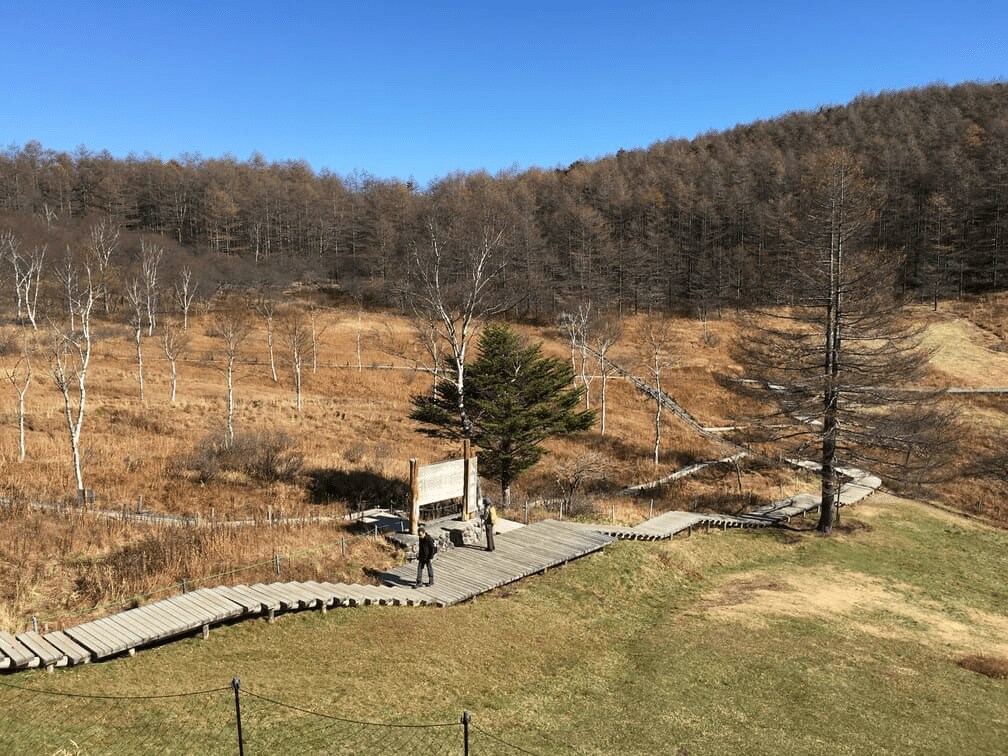 【3連休は登山へ行こう】ロープウェイ・ゴンドラ利用で標高アップ！ 秋めく山の彩りを満喫できる「絶景ハイキング」5選！ ｜登山｜コラム｜BRAVO MOUNTAIN