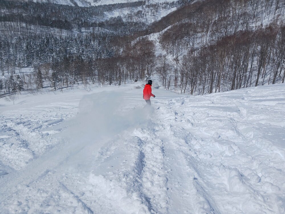 【つがいけマウンテンリゾート】最新情報 「人工降雪機13機」新規導入でいつでもハイコンディション！ “スキー場のクオリティ”と思うなかれ「大 ...